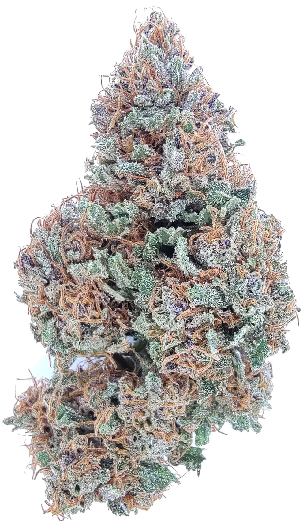 Greenhouse Type III Cannabis Flower | Legendary Zombie Kush – Victory ...